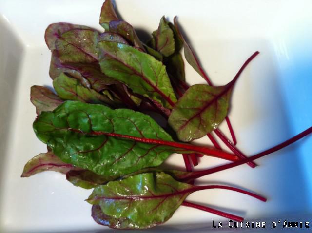 18 Images Pousse De Betterave Rouge Recette - His Barn